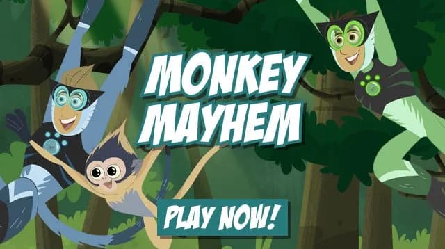 All Games | Wild Kratts All Games | Wild Kratts